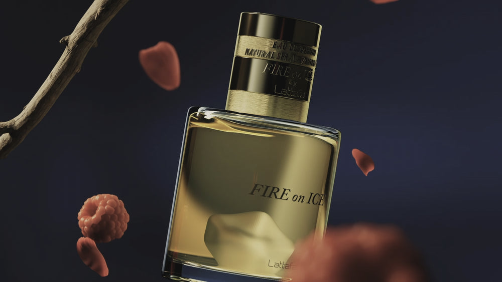 Aurora Scents Habanera Black EDP 100ml Masculino